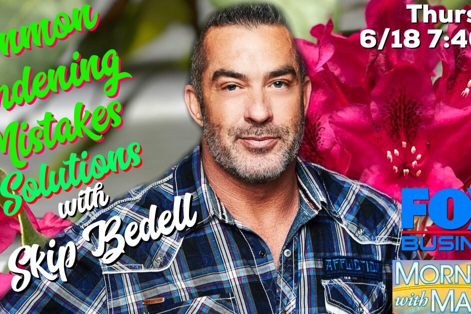 Skip Bedell on FOX & Friends